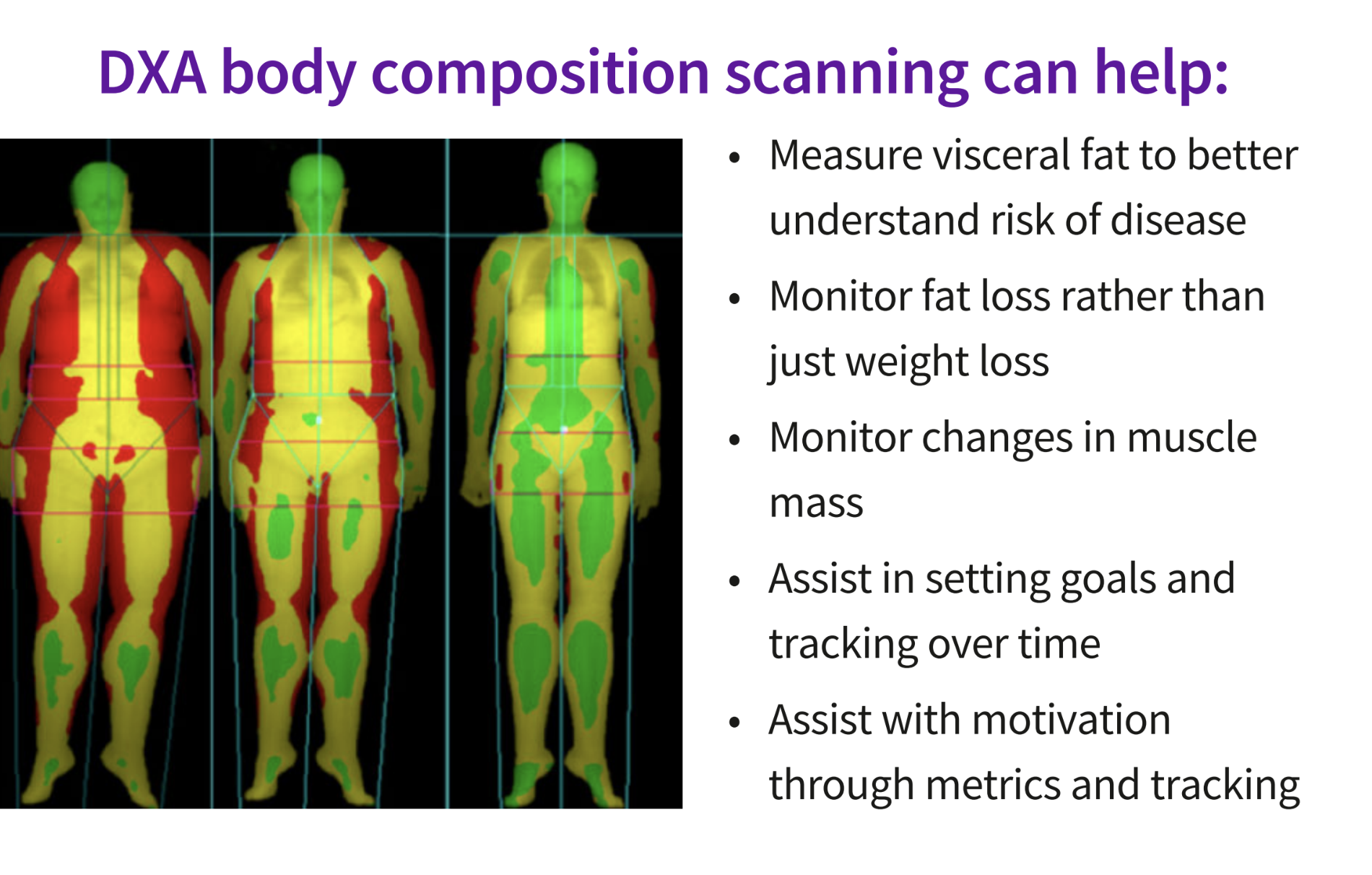 Which Boston Gyms Have a Pool? Top 8 Boston Gyms with Pools for a Refreshing Workout — 40% OFF ...